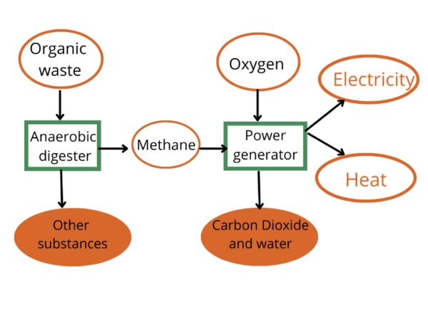 What is biogas and how is it produced? - Biotank Africa